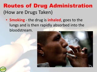 ANTI ILLEGAL DRUGS, DRUG IDENTIFICATION.ppt