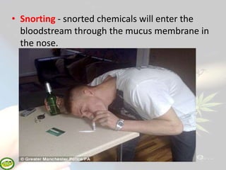 ANTI ILLEGAL DRUGS, DRUG IDENTIFICATION.ppt