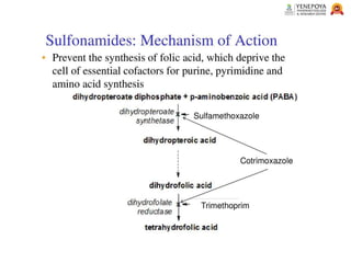 Anti-Infective Agents: Classification, Uses & Formulations Detailed ...