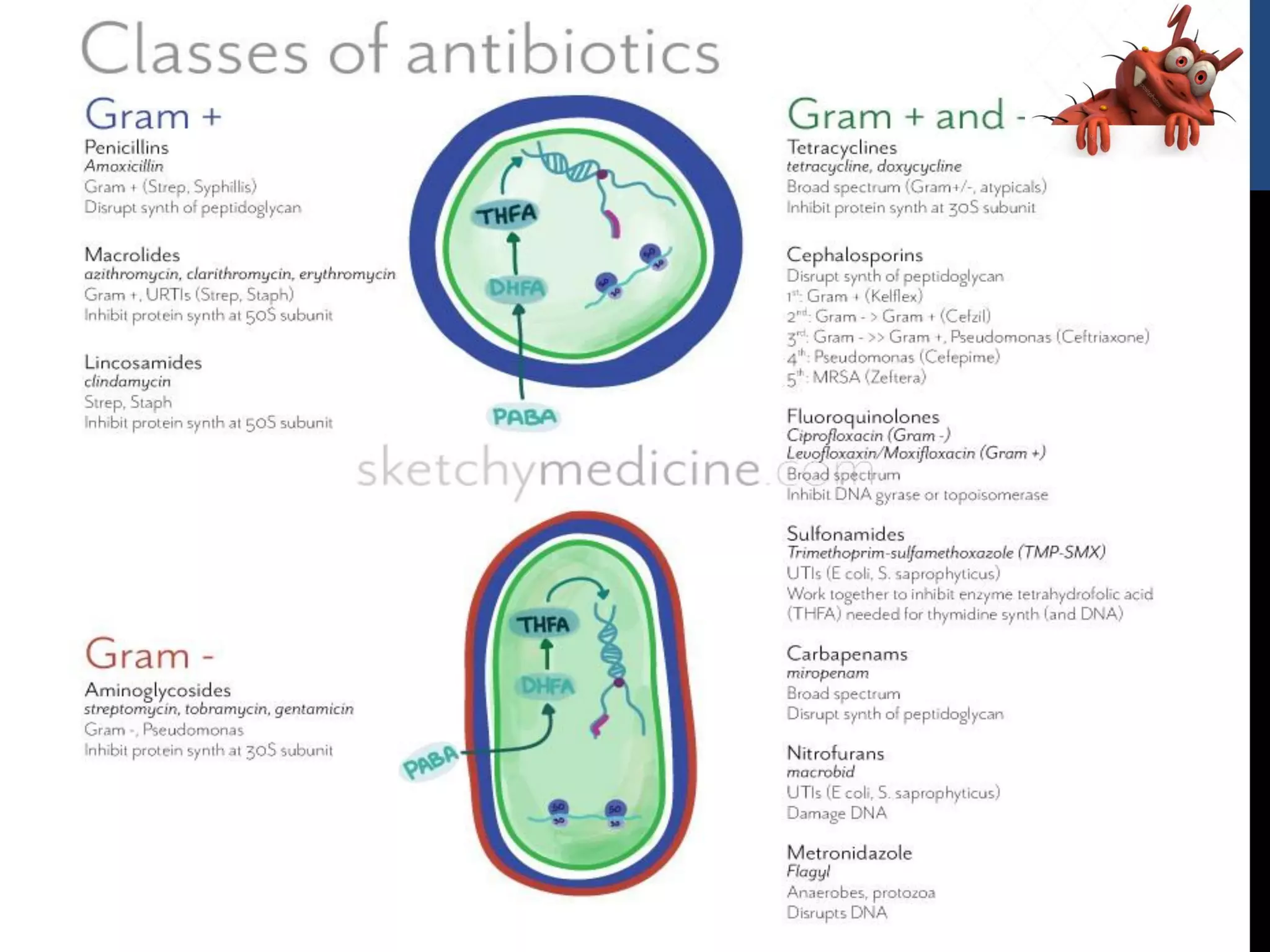 Anti infective agents | PDF