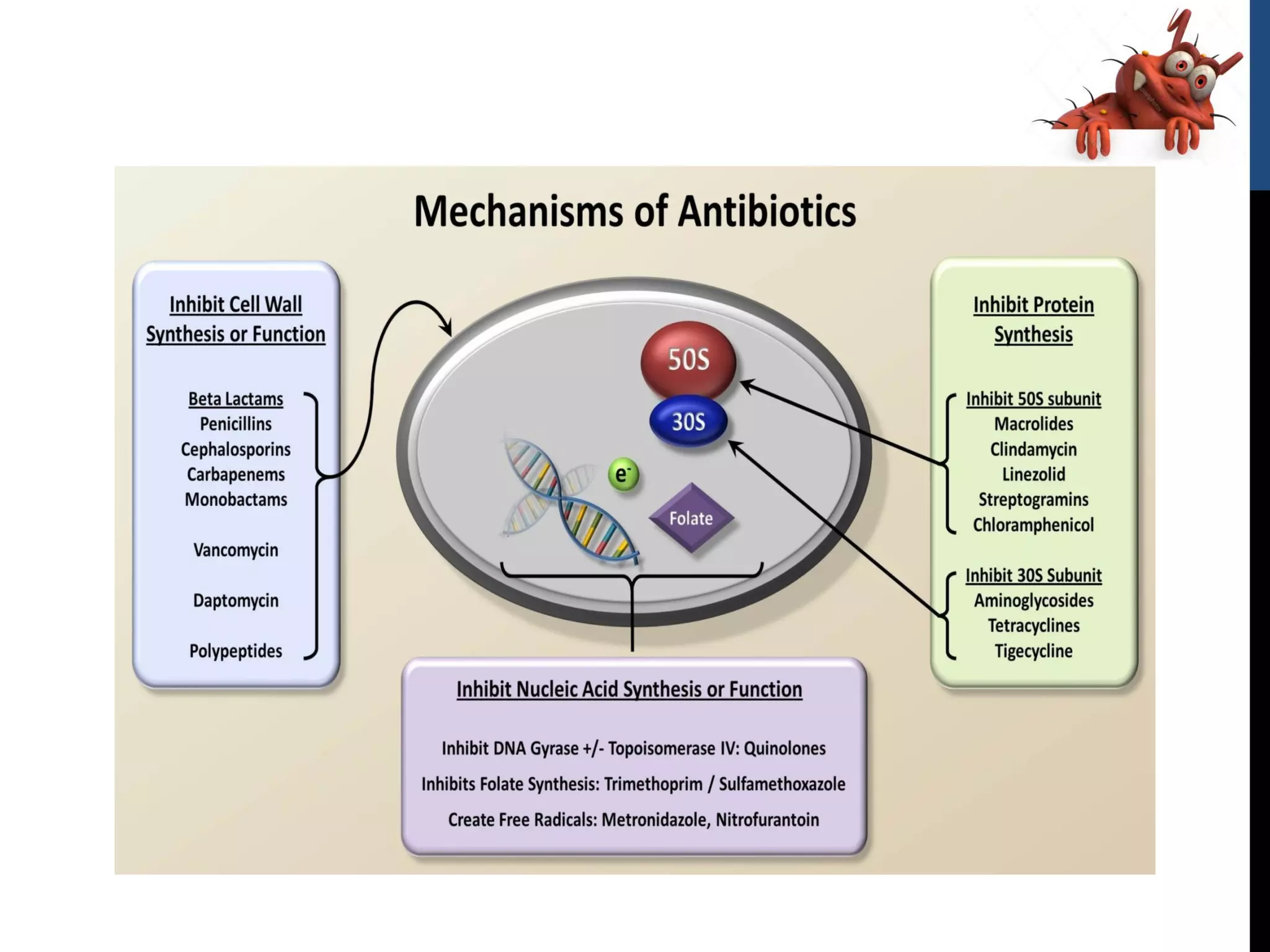 Anti infective agents | PDF
