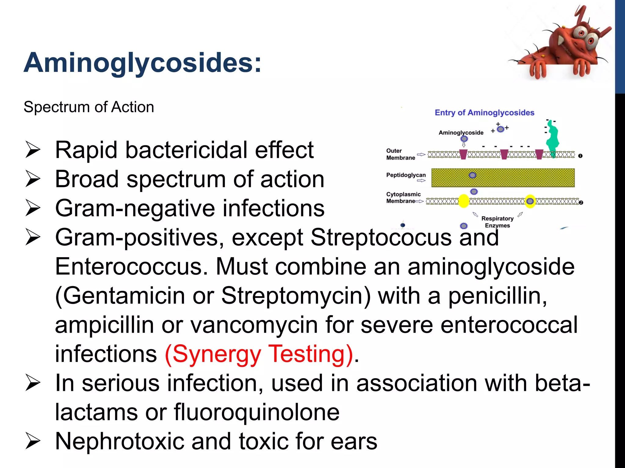 Anti infective agents | PDF
