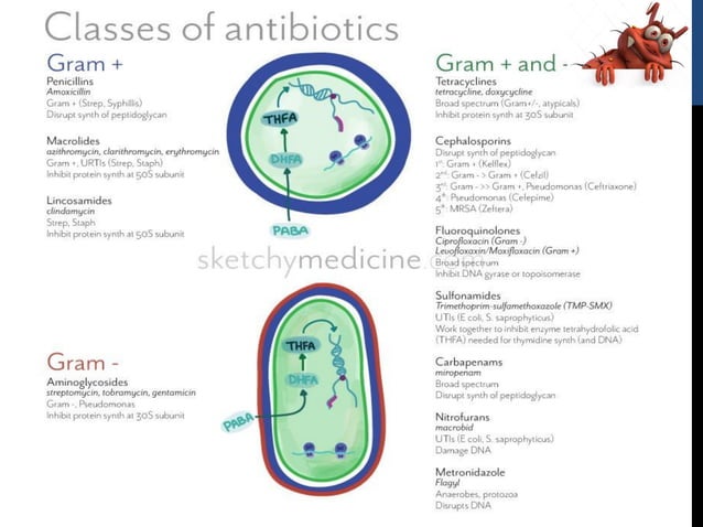 Anti infective agents | PDF | Infectious Diseases | Diseases and Conditions