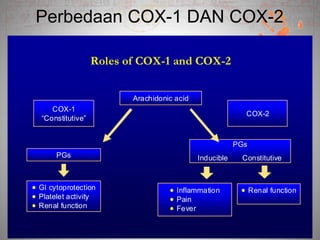 Anti Inflamasi | PPTX