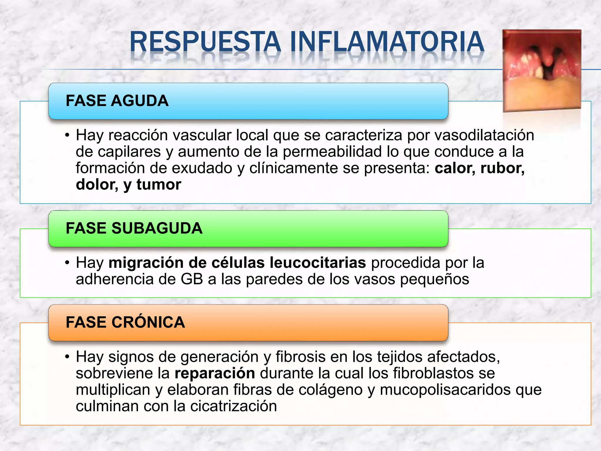 Farmacologia: Antiinflamatorios, AINES | PPTX