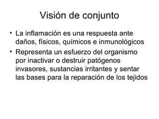 Antiinflamatorios No Esteroides (AINES). | PPT | Pharmaceutical Drugs ...