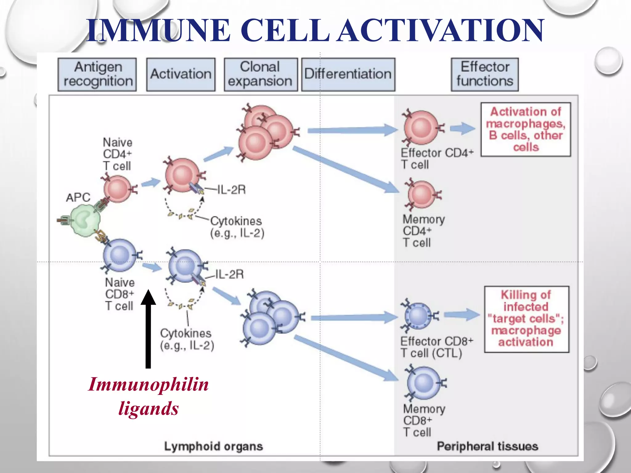 ANTI-INFLAMMATORY & IMMUNOSUPPRESSIVE DRUG | PDF