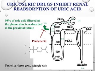 ANTI-INFLAMMATORY & IMMUNOSUPPRESSIVE DRUG | PPT