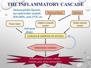 ANTI-INFLAMMATORY & IMMUNOSUPPRESSIVE DRUG | PPT
