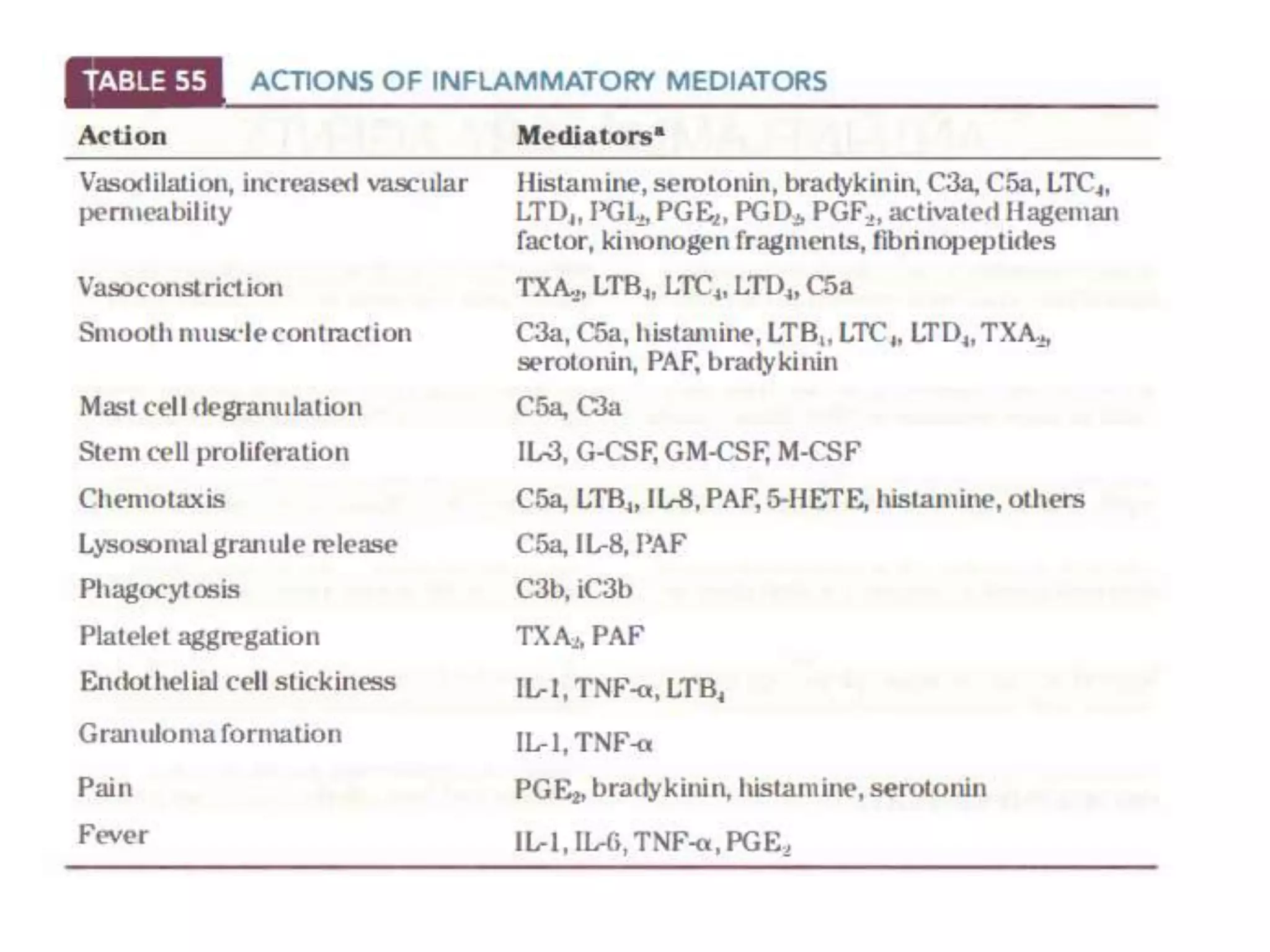 Anti inflammatory drugs | PPTX
