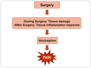 Anti inflammatory in postoperative pain isapm 2015 - dr. S. Gaus | PPTX