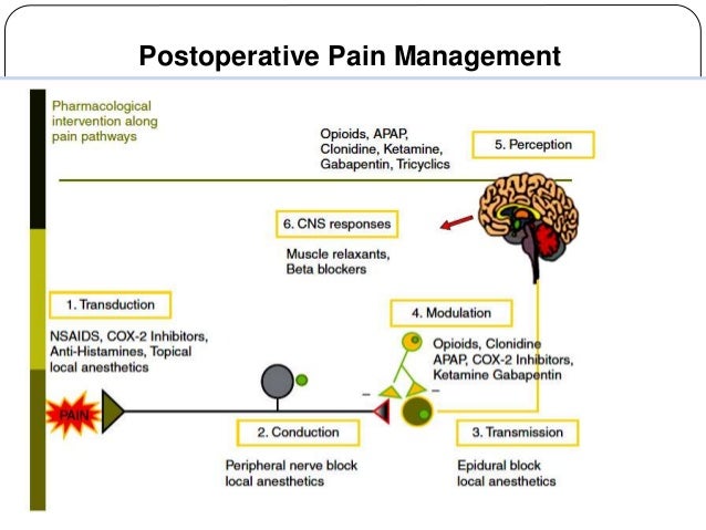 Anti inflammatory in postoperative pain isapm 2015 - dr. S. Gaus