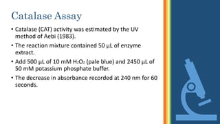 Antiioxidant Assay.pptx