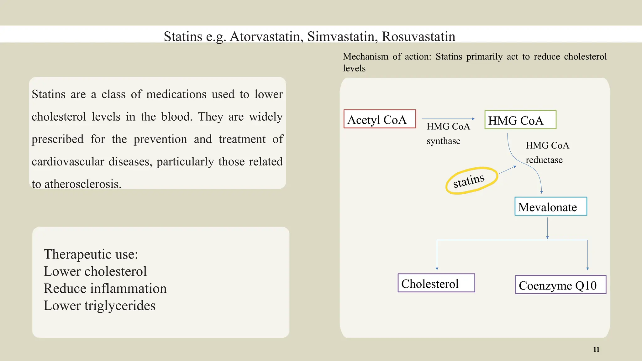 Anti Ischemic, definition, causes, classification, pathophysiology | PPTX