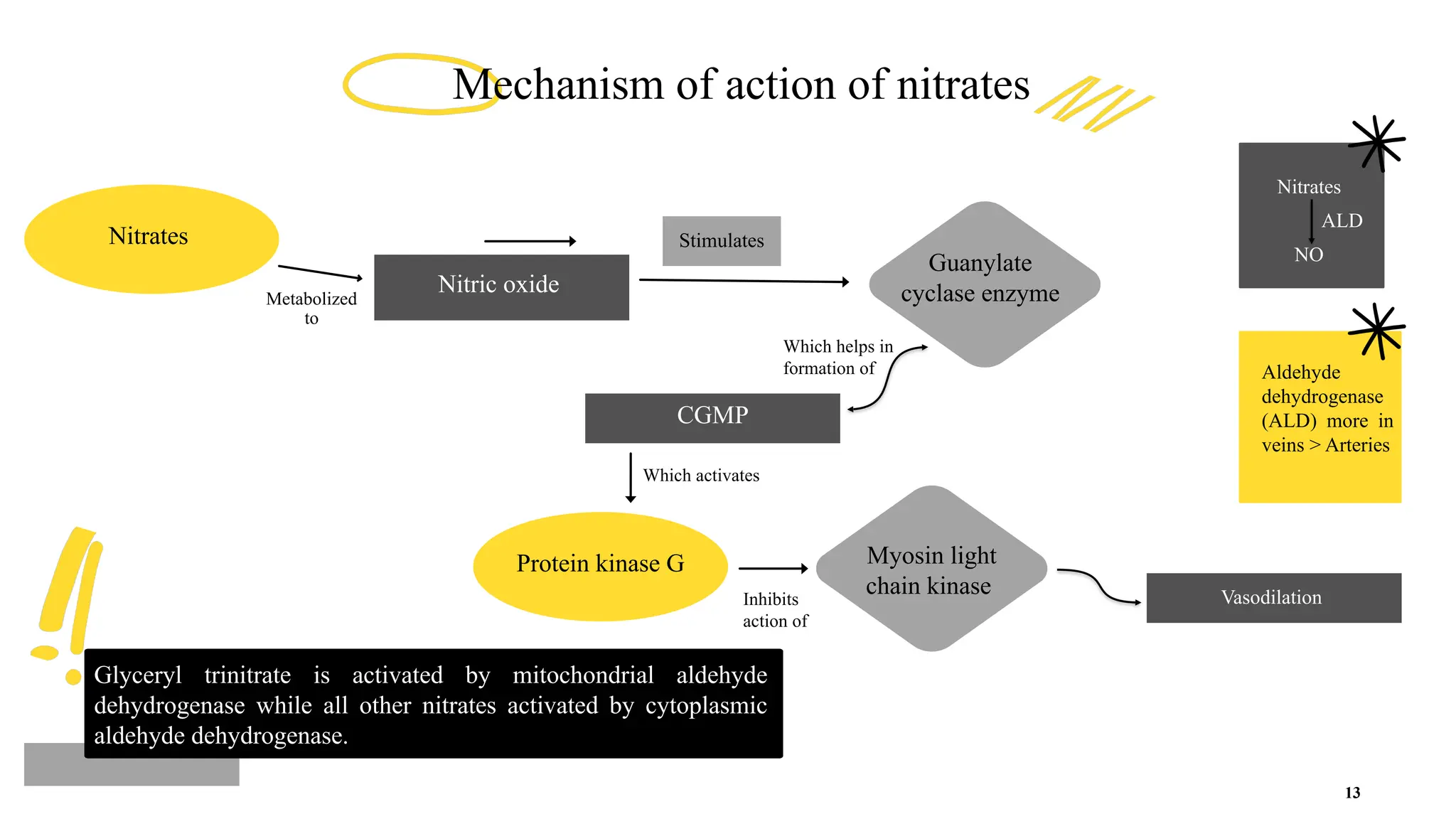 Anti Ischemic, definition, causes, classification, pathophysiology | PPTX