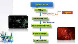 Antileprotic drugs | PPTX