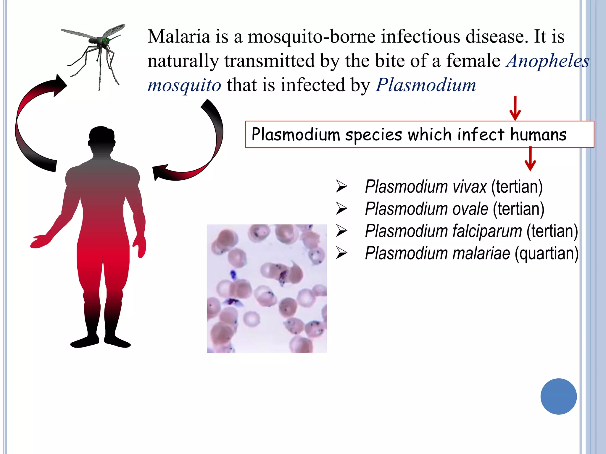 Anti malarial drug classification | PDF