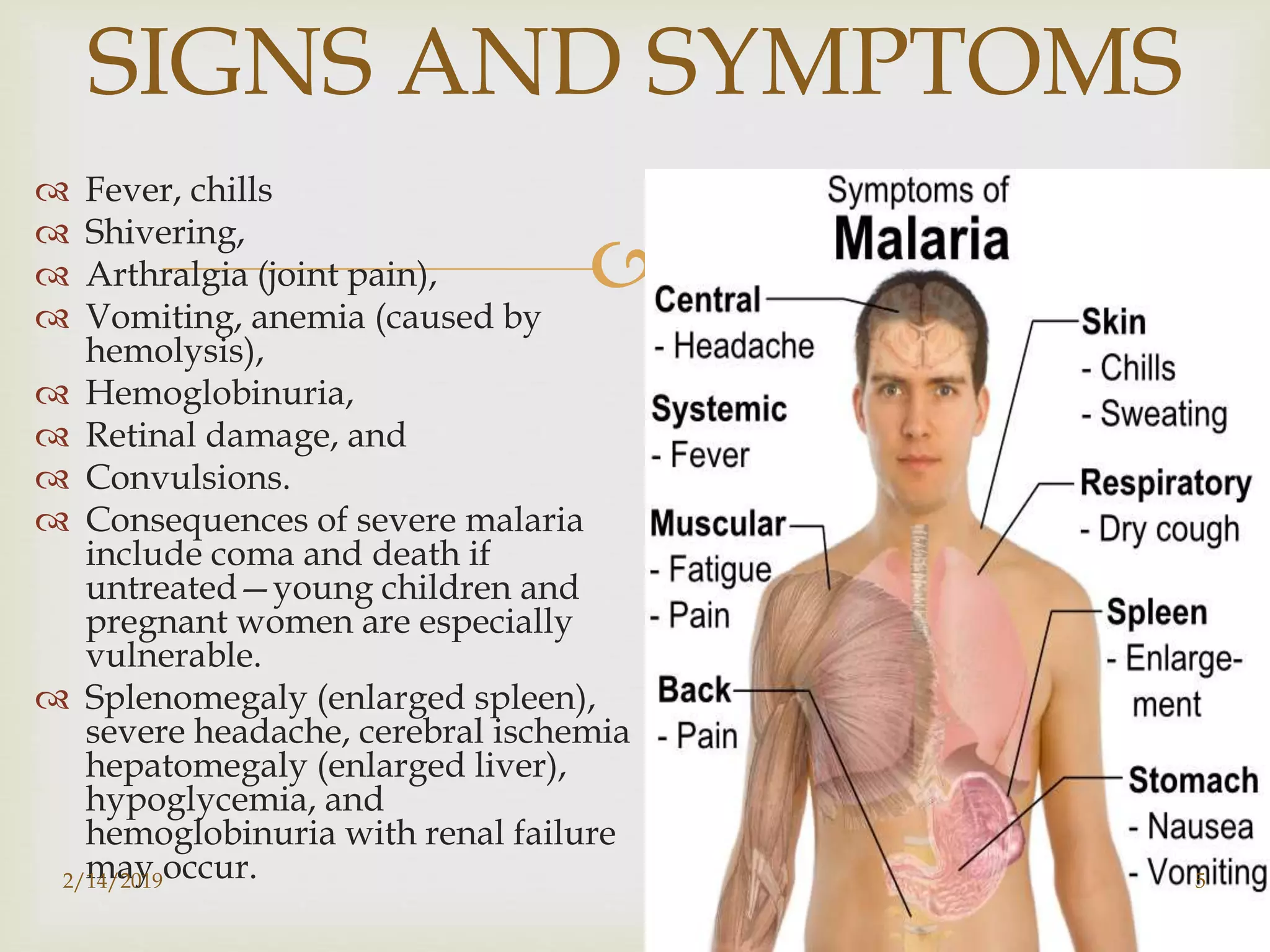 Anti malarial | PPTX