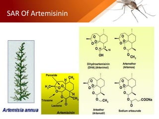 Antimalarial drugs | PPTX