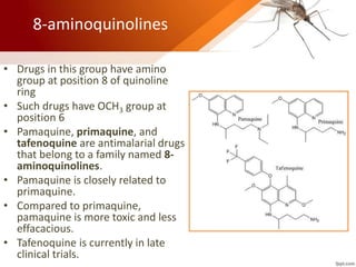 Antimalarial drugs | PPTX