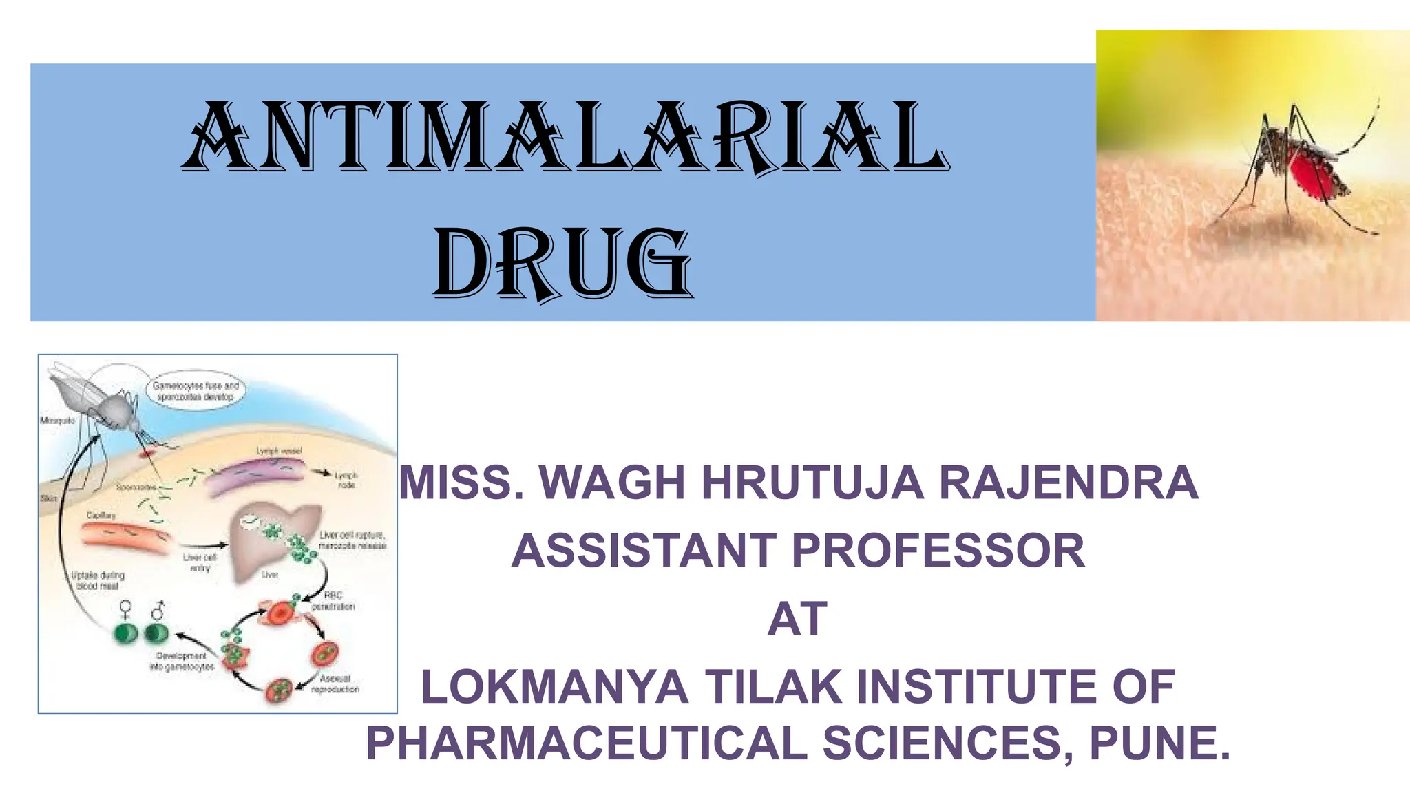 Antimalarial drug Medicinal Chemistry III | PPT