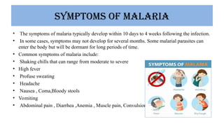 Antimalarial drug Medicinal Chemistry III | PPT
