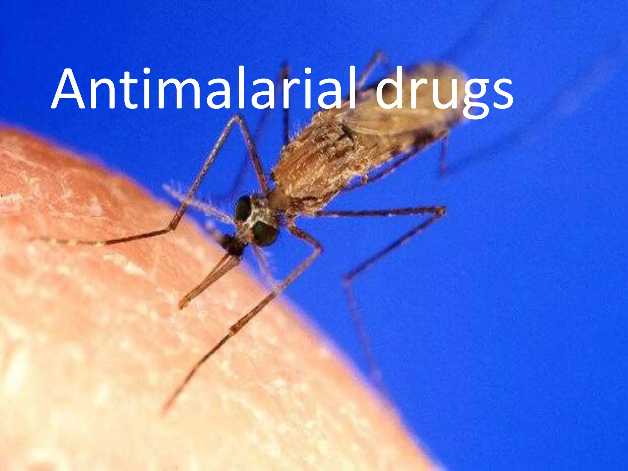 Antimalarial drugs | PPTX