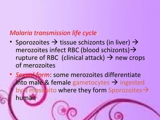 Antimalarial drugs | PPT | Pharmaceutical Drugs | Medical Health
