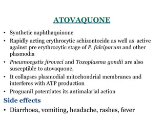 antimalarial drugs.pptx