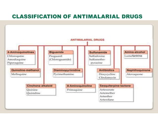antimalarial drugs.pptx