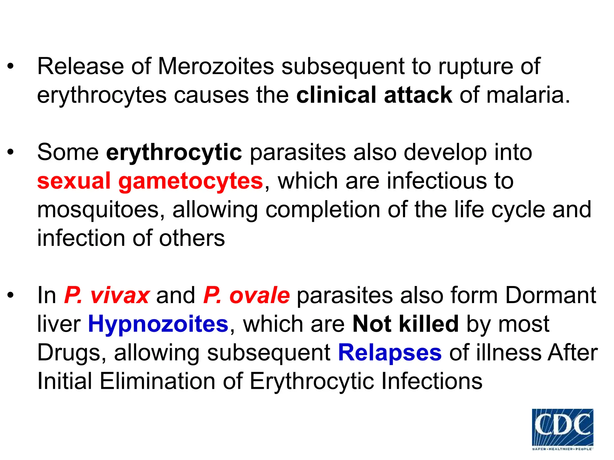 Antimalarial drugs. Vivax, falciparum ,ovale, malarae | PPTX