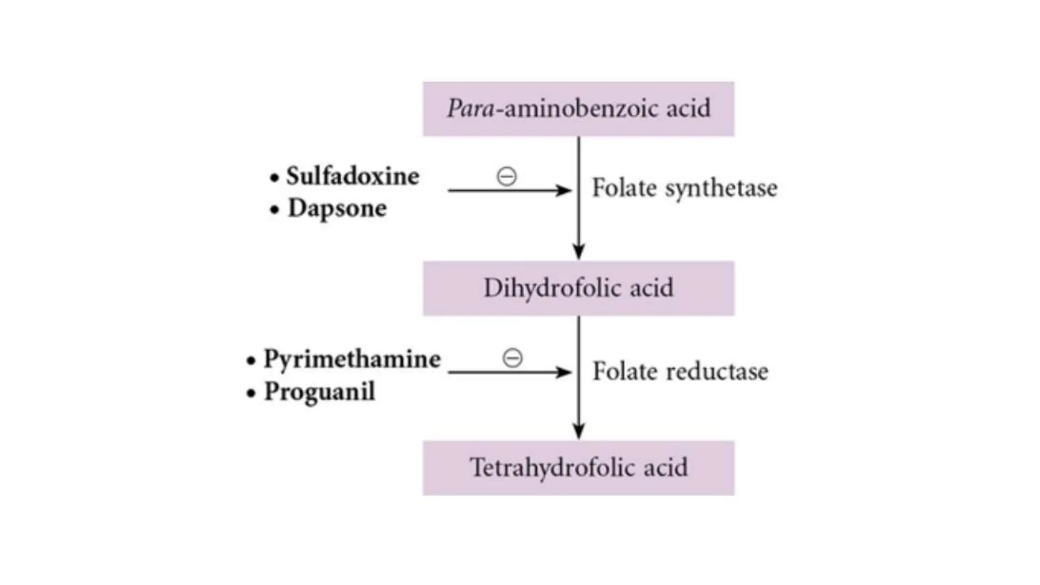 Antimalarial drugs _classification_overview.pptx | Chemistry | Science