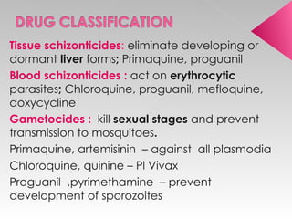 ANTIMALARIAL DRUGS . Department of pharmacology | PPT
