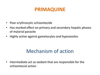 Primaquine Mechanism Of Action