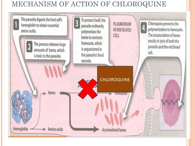 Antimalarials used in treatment, classification, mechanism of action | PPT