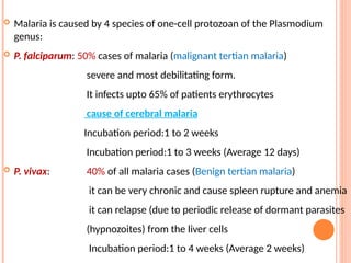 Antimalarials used in treatment, classification, mechanism of action | PPT