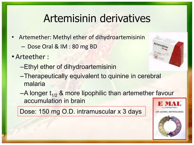 Antimalarial drugs | PPTX | Infectious Diseases | Diseases and Conditions