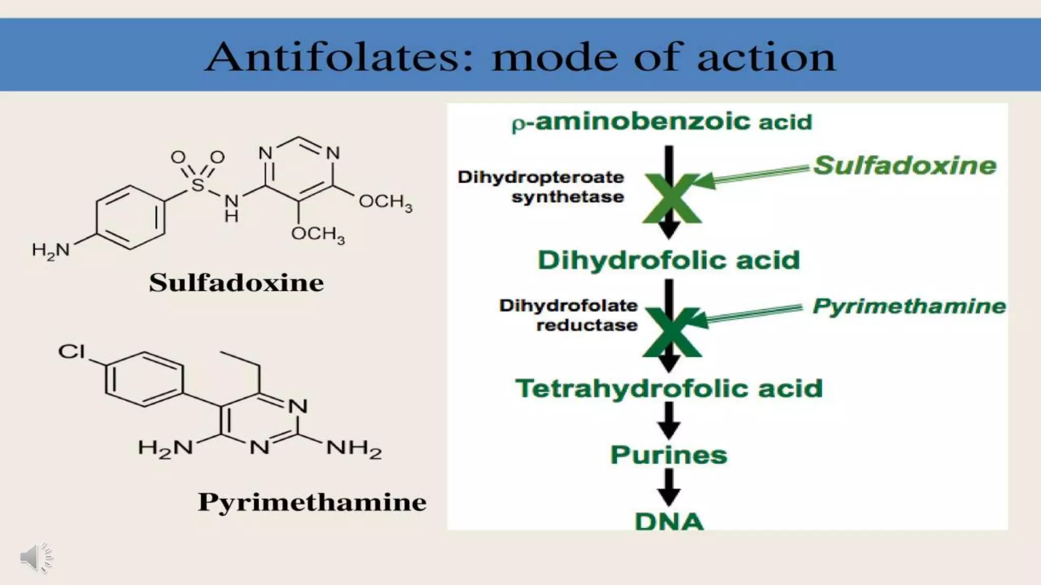 Complete Chapter of Anti-malarial Drugs Part -2 | PPTX