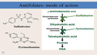 Pyrimethamine Mechanism Of Action