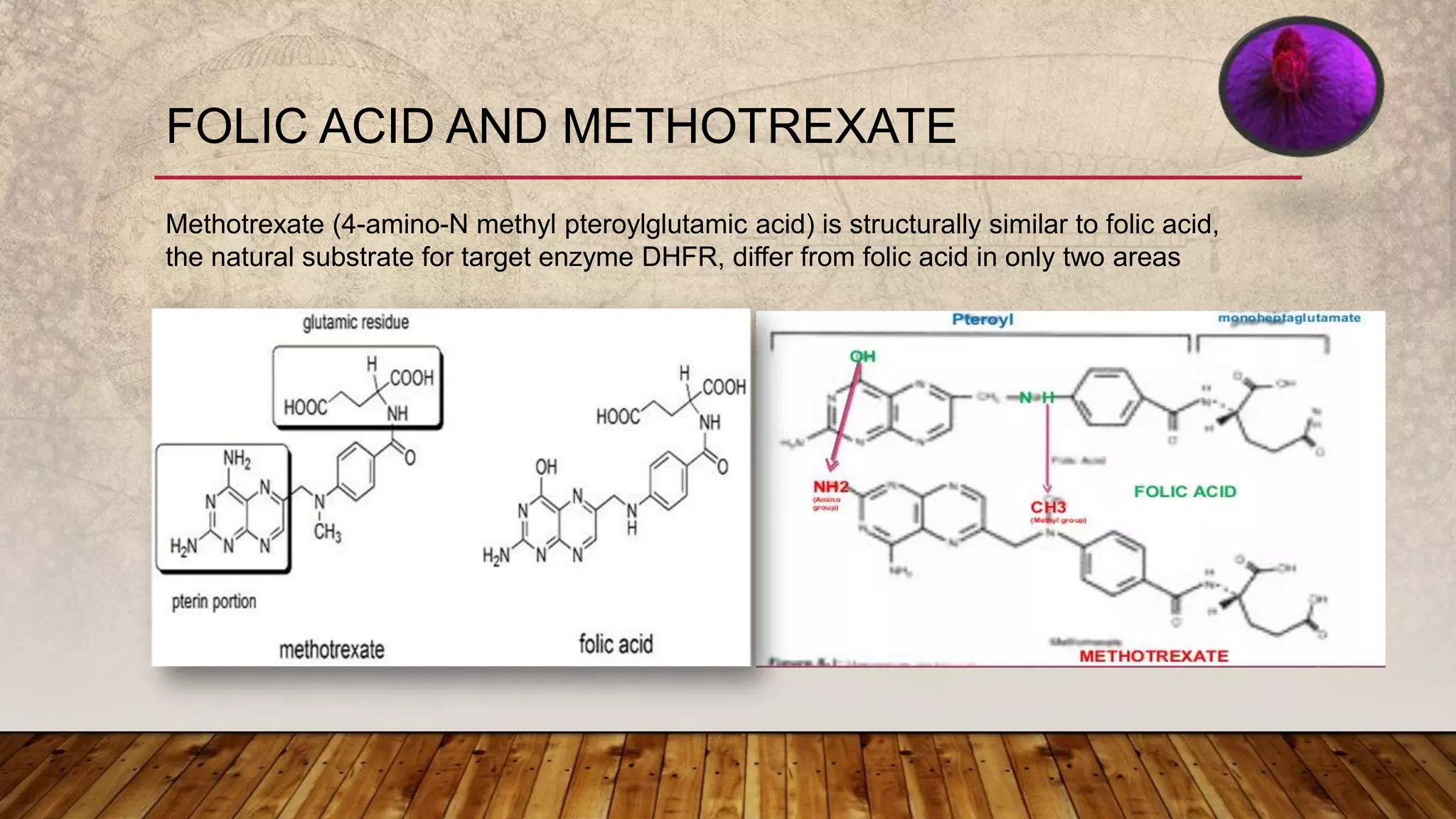 Antimetabolites | PPTX