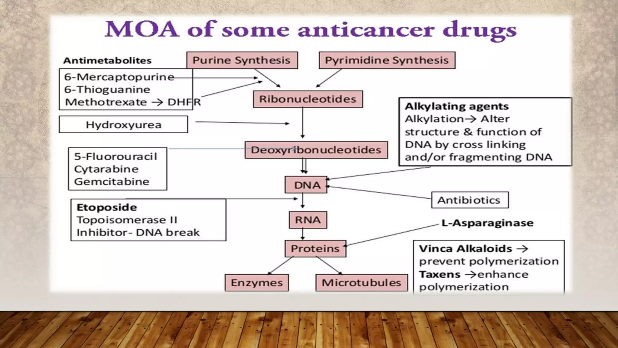 Antimetabolites | PPTX