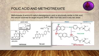 Antimetabolites | PPTX