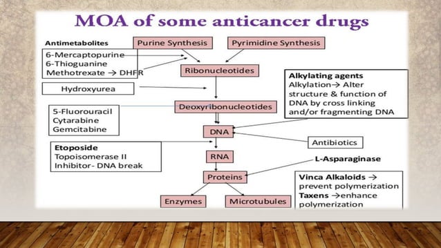 Antimetabolites | PPTX | Cancer | Diseases and Conditions
