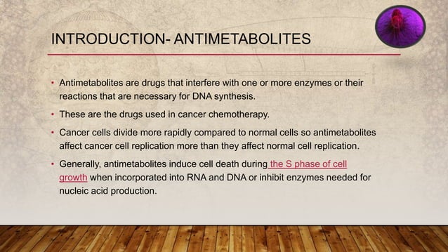Antimetabolites | PPTX | Cancer | Diseases and Conditions
