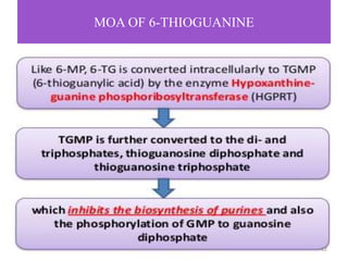 ANTIMETABOLITES & 6- THIOGUANINE.pptx | Cancer | Diseases and Conditions