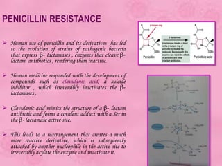 Antimetabolites and suicide inhibitors | PPTX