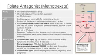 Antimetabolites Pharmacology.pdf