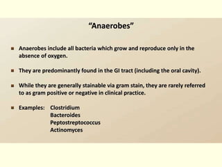 Antimicrobial in dentistry practice - dental pharmacology | PPTX