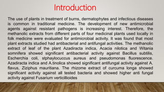 Antimicrobial activity of herbal production | PPTX