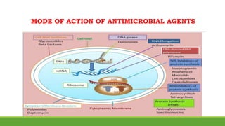 Antimicrobial agent.pptx Manoj Mahato Micro | PPTX